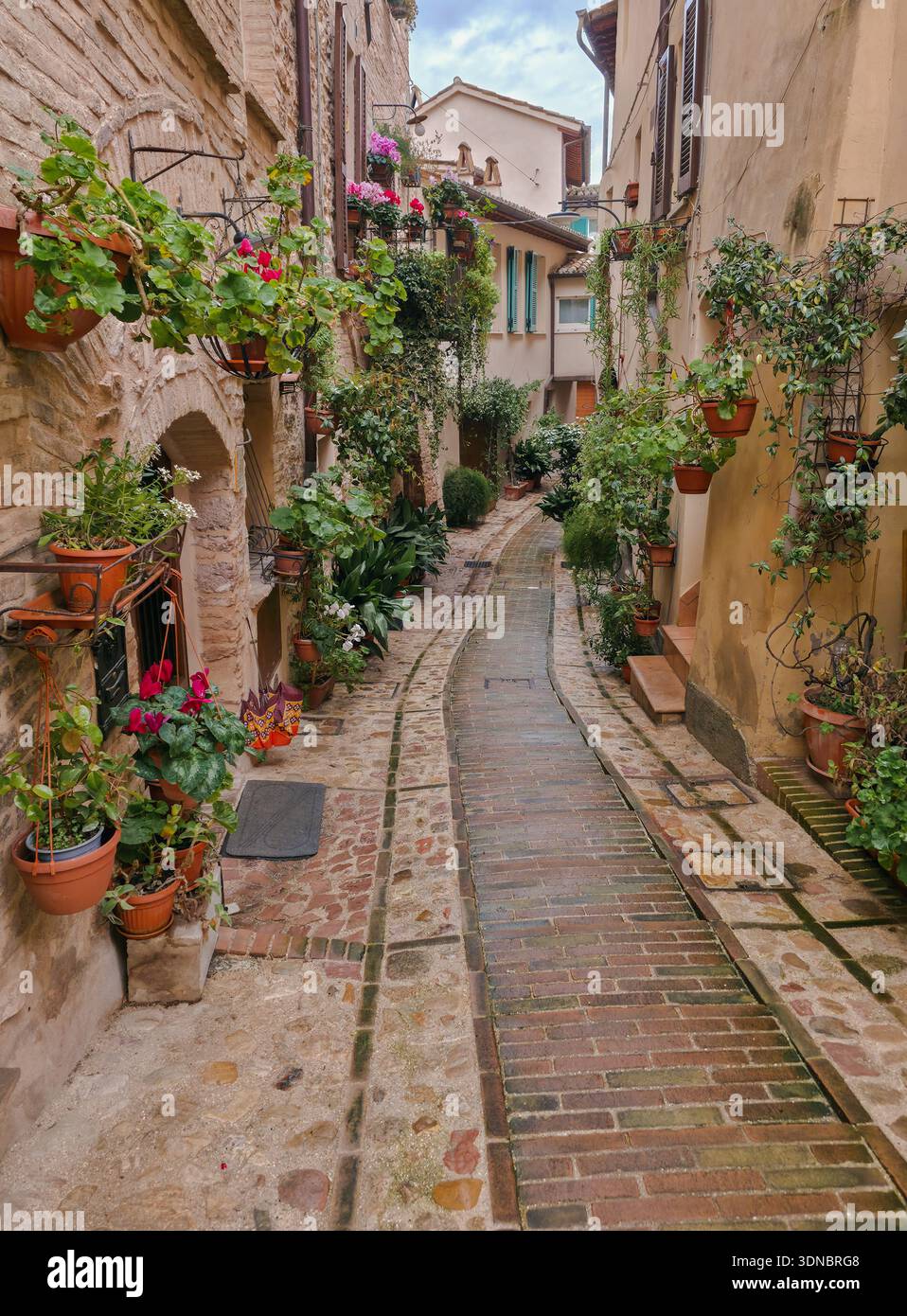 A charming medieval stone alley in Spello, Italy, beautifully adorned ...