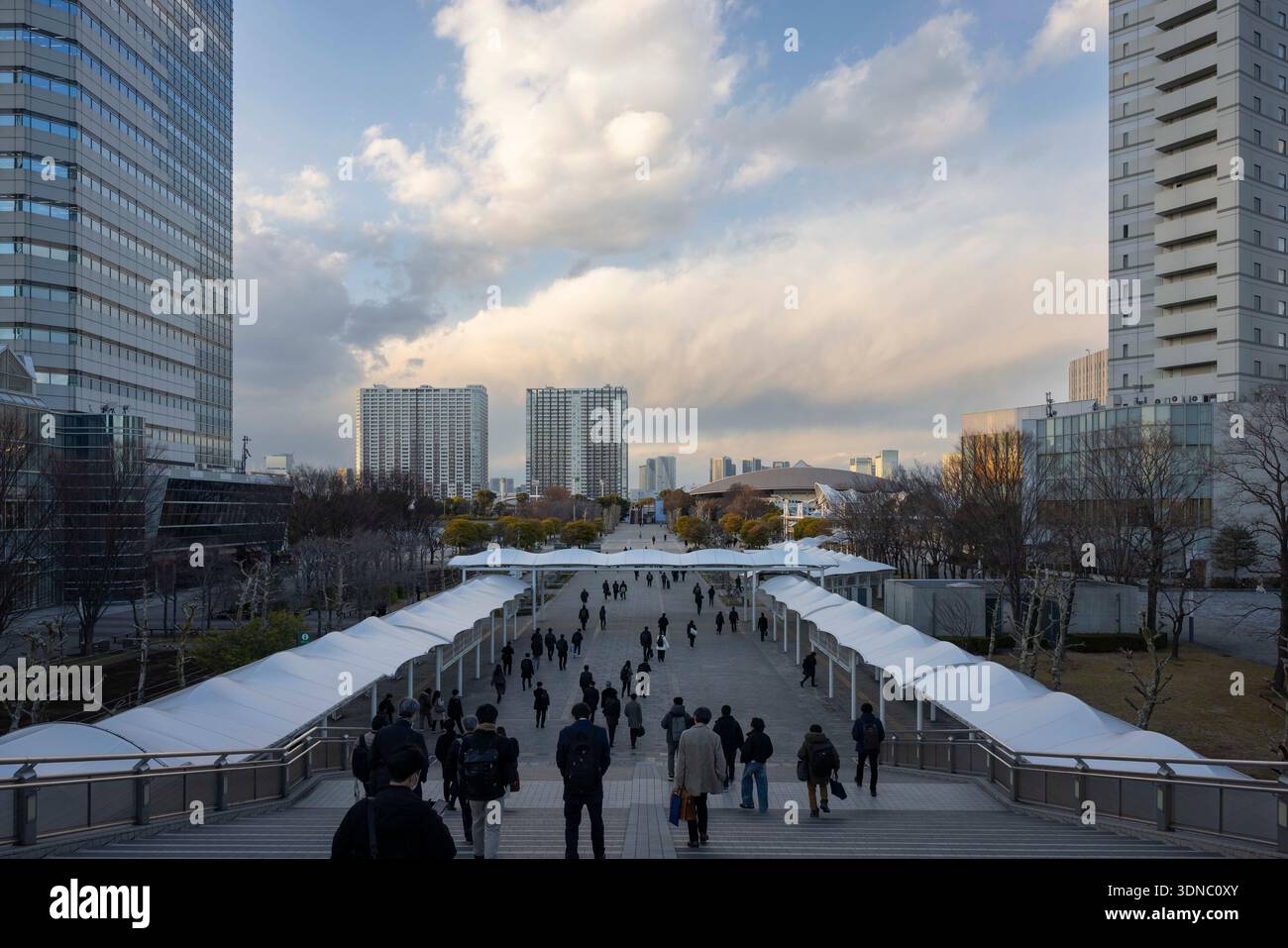 January 29, 2026, Tokyo, Japan: People walk towards Kokusaitenjij ...