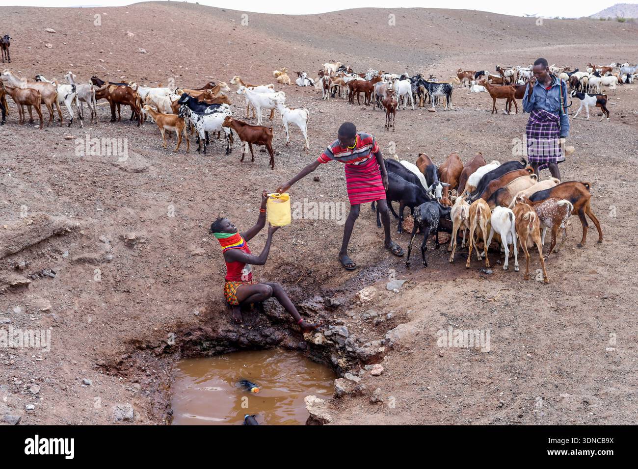 Herders collect water from a well amid water shortage caused by ...