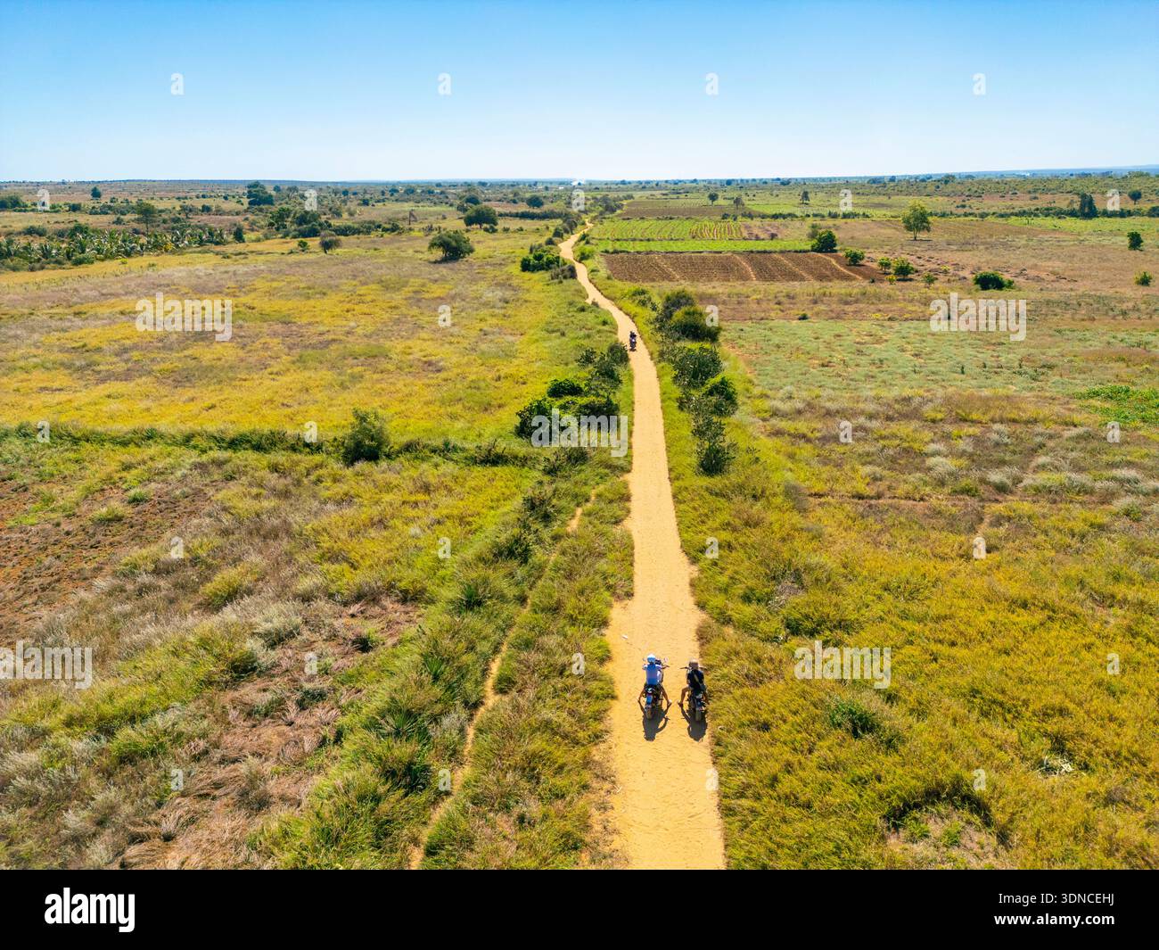 Madagascar, Atsimo-Andrefana region, Ifaty, Vezo country, the track ...