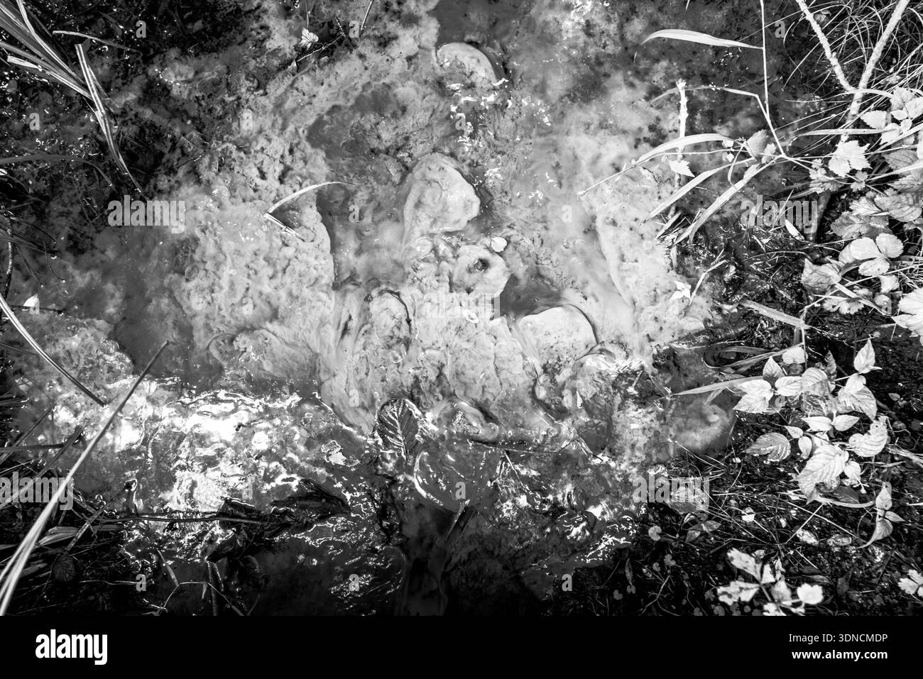 Stream water in gravel Black and White Stock Photos & Images - Alamy