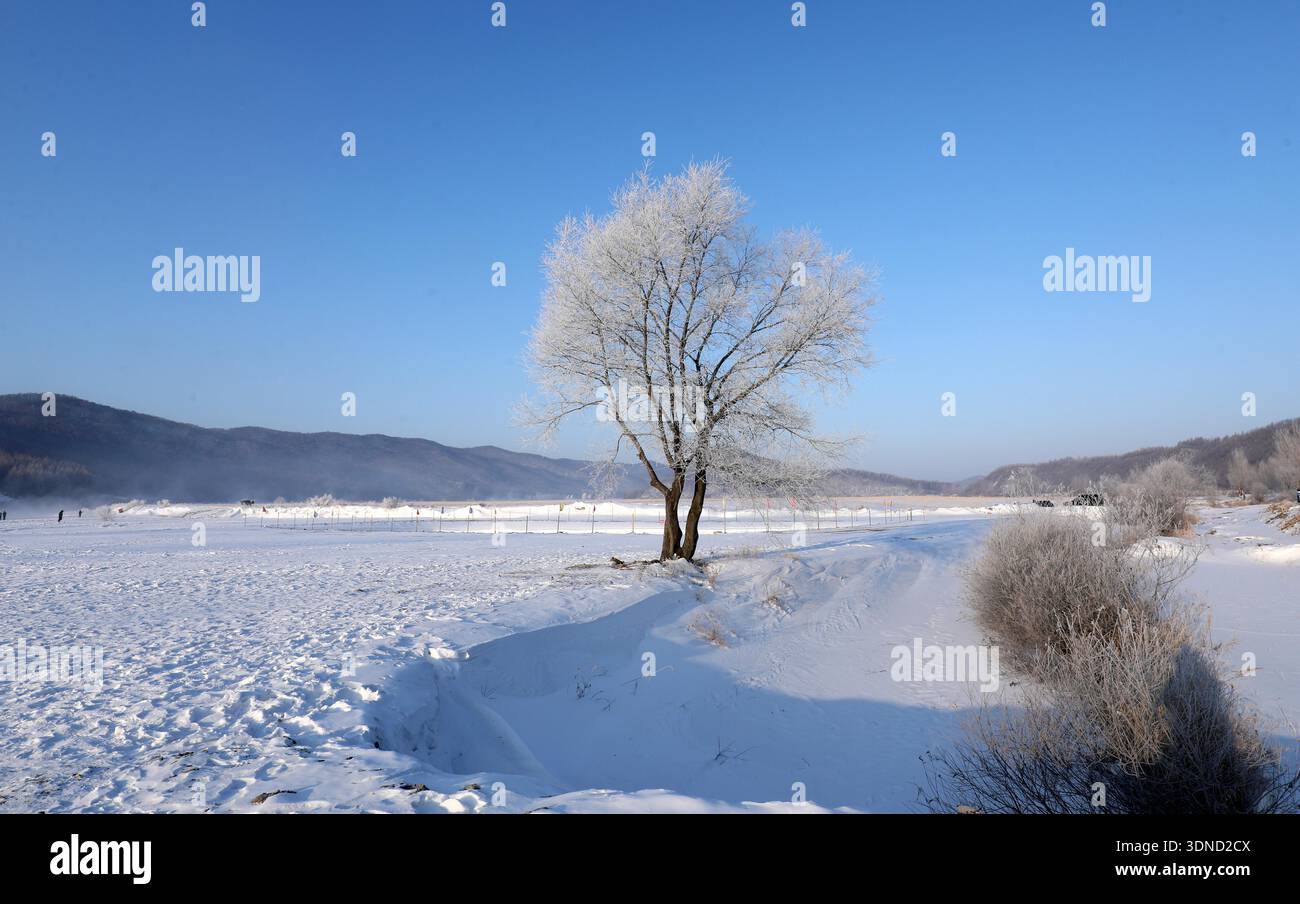 Rime scenery attracts visitors in Harbin City, northeast China's ...