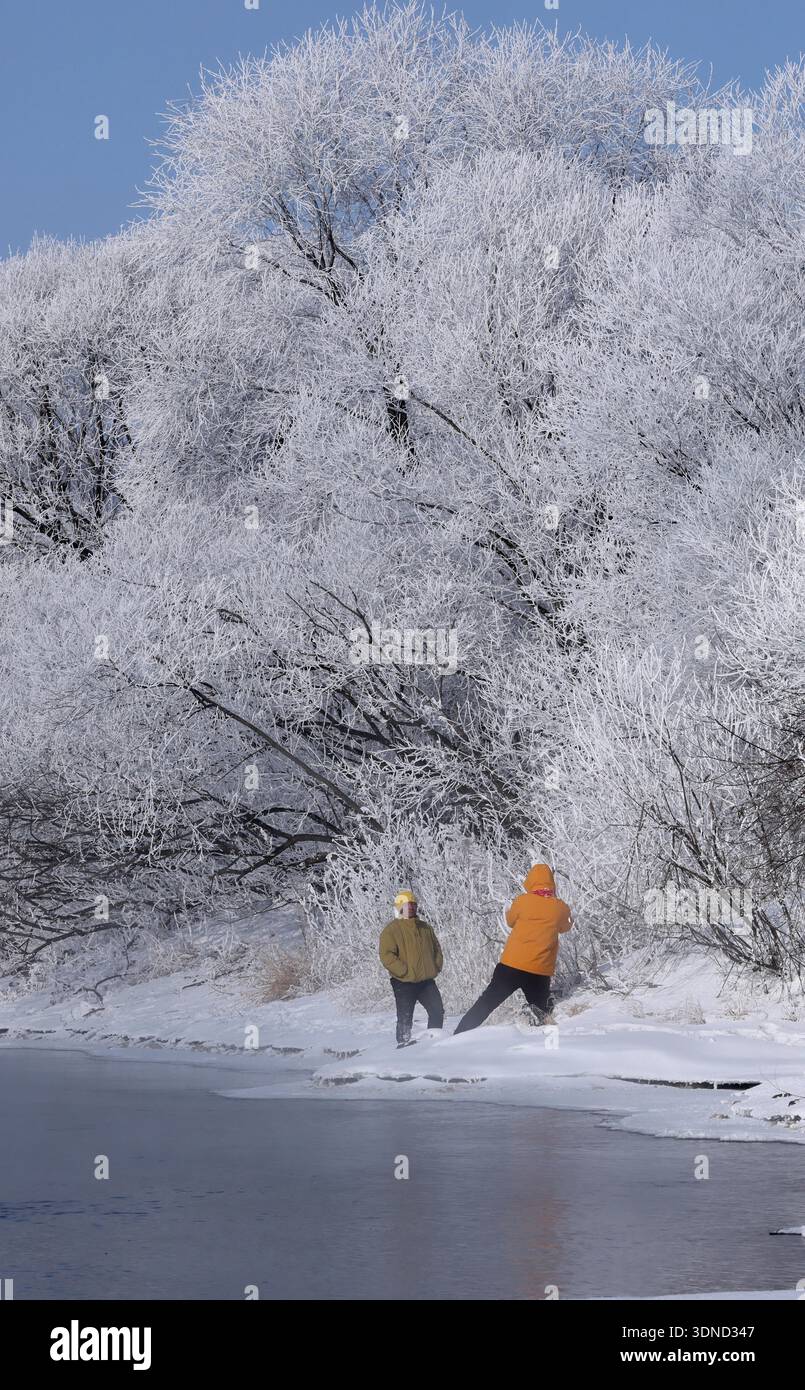 Rime scenery attracts visitors in Harbin City, northeast China's ...