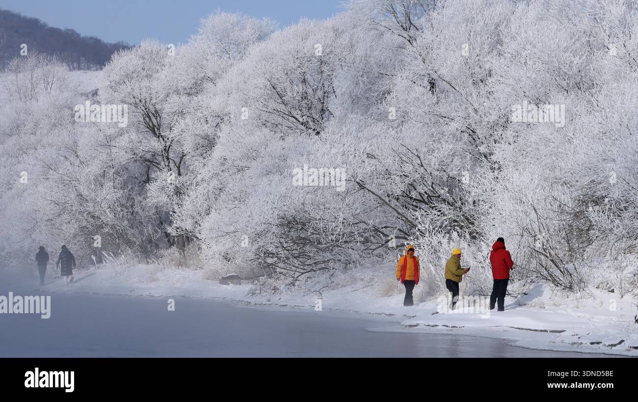 Rime scenery attracts visitors in Harbin City, northeast China's ...