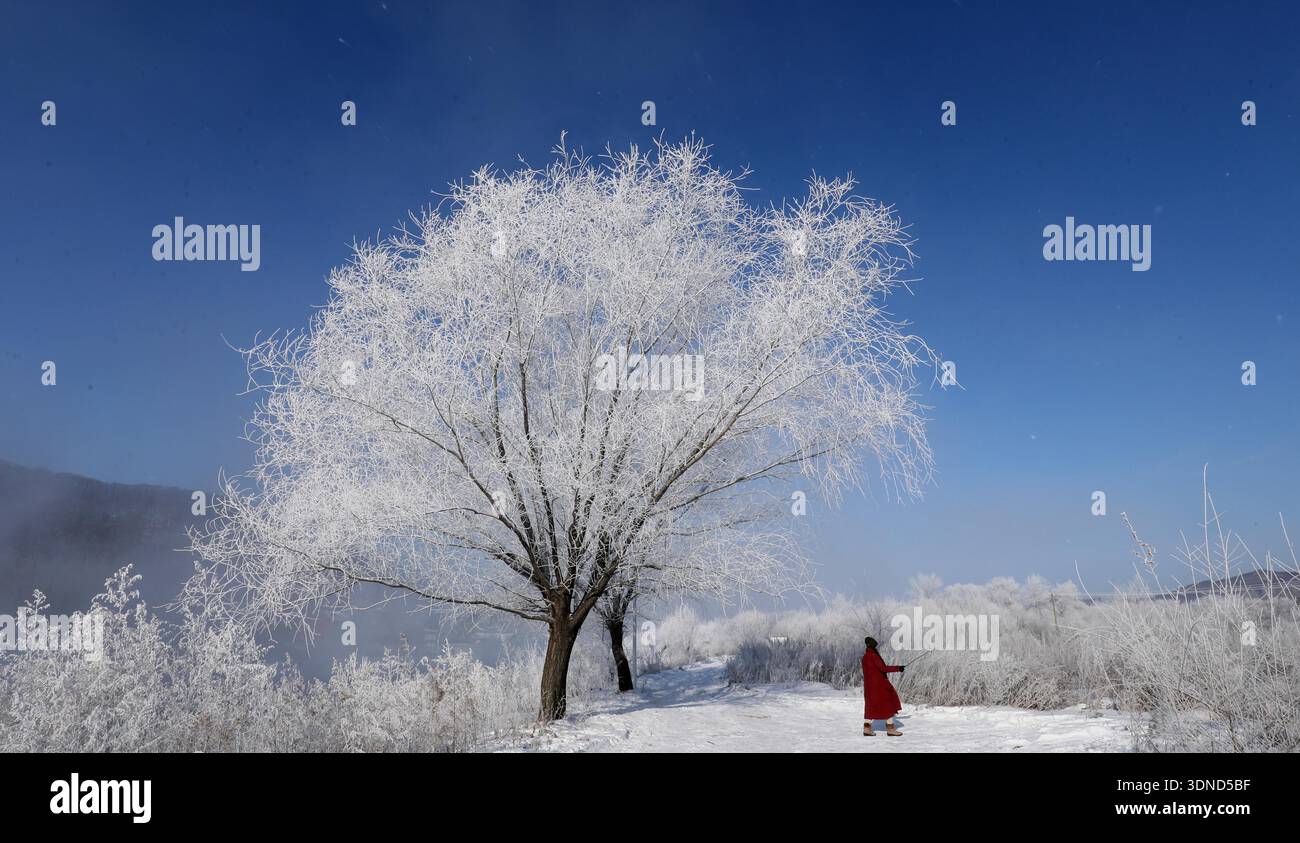 Rime scenery attracts visitors in Harbin City, northeast China's ...