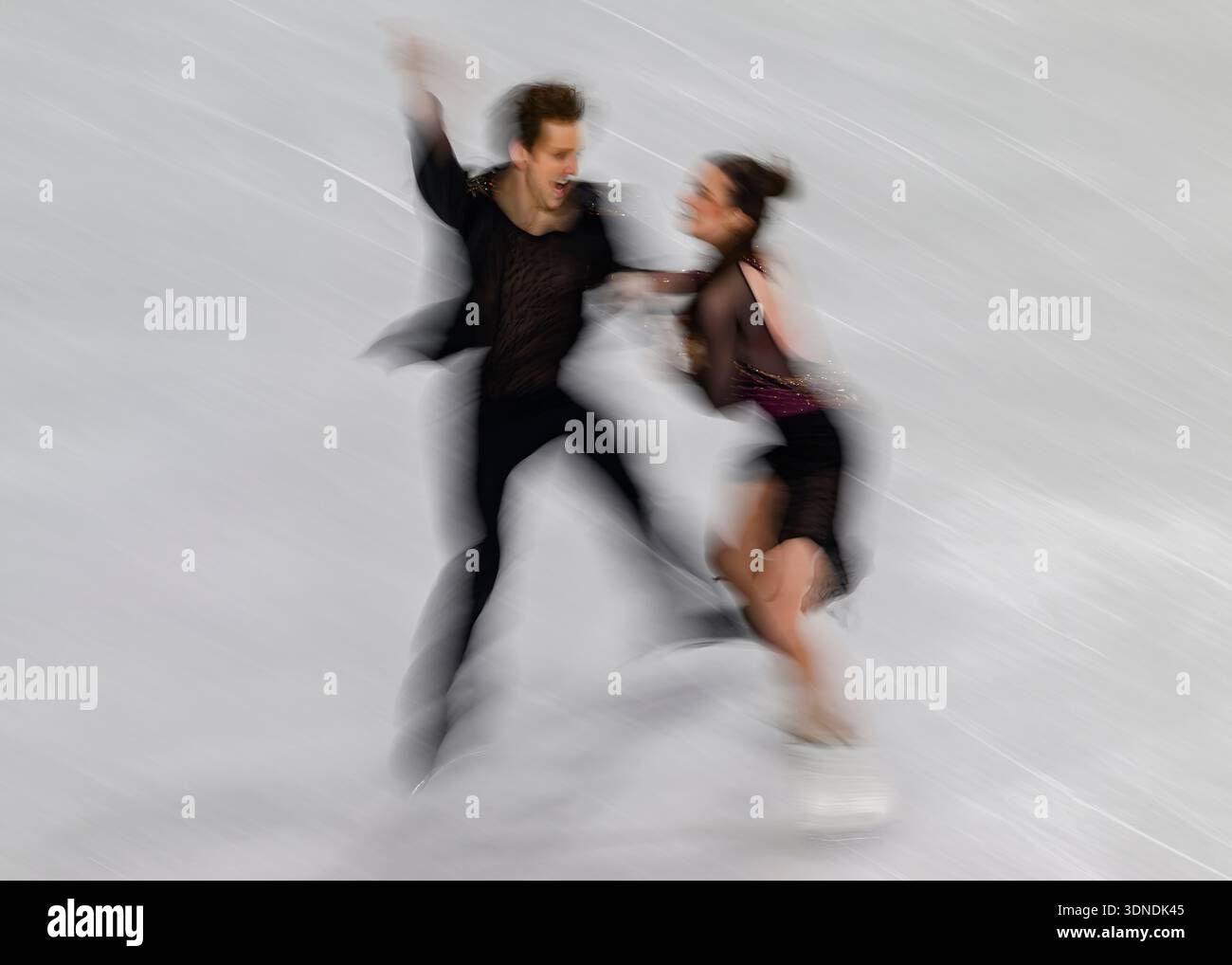 Emilea zingas hi-res stock photography and images - Alamy
