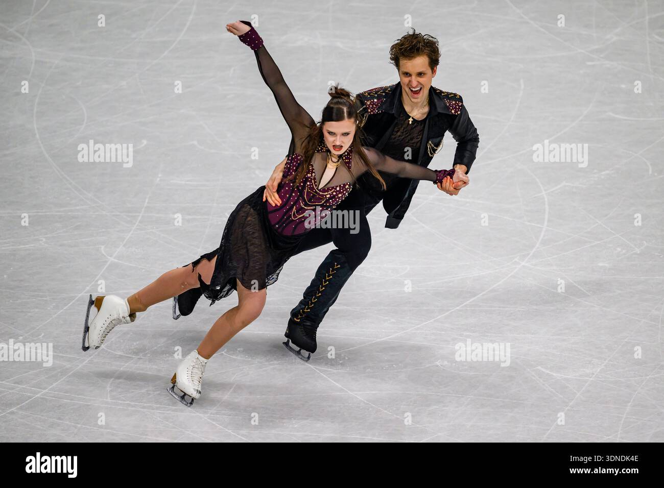 Emilea zingas hi-res stock photography and images - Alamy
