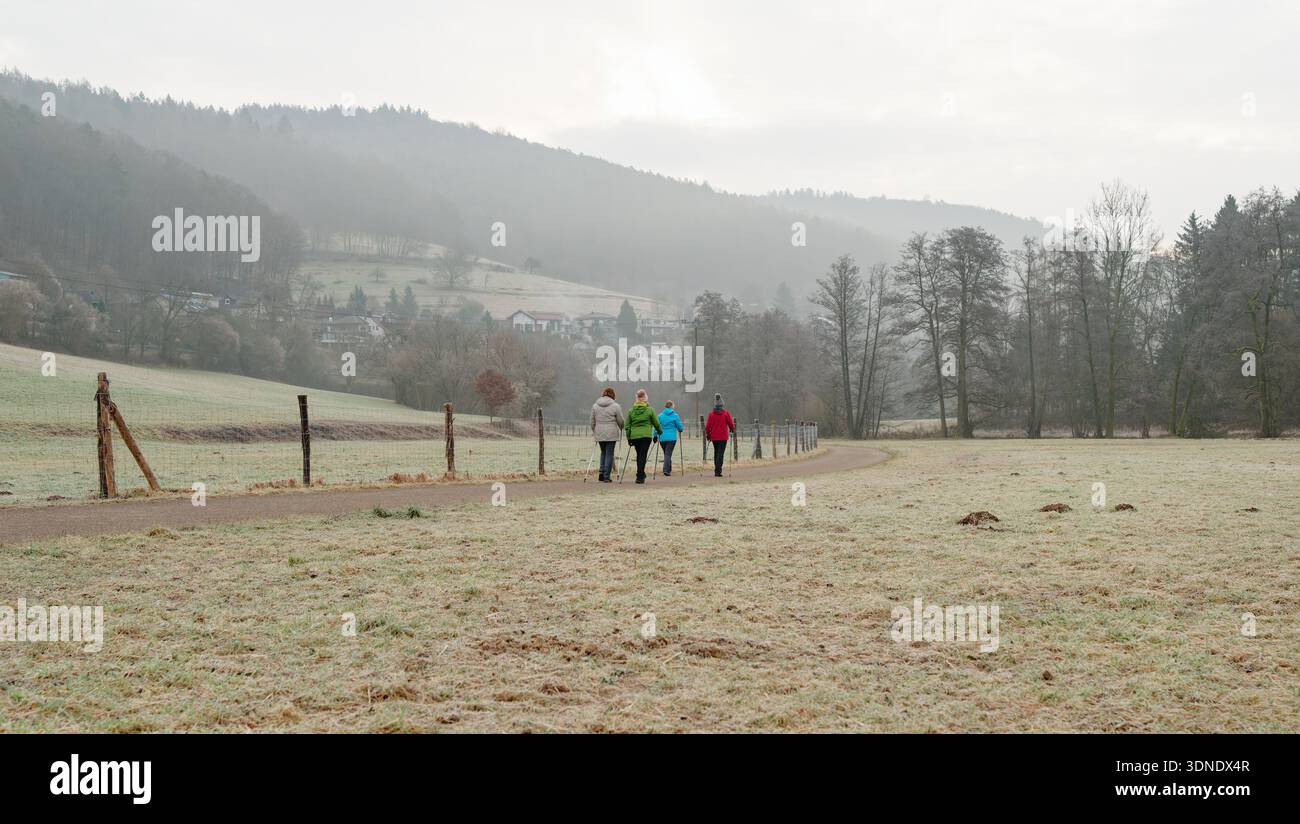 10 February 2026, Baden-Württemberg, Schönau: Walkers walk through a ...