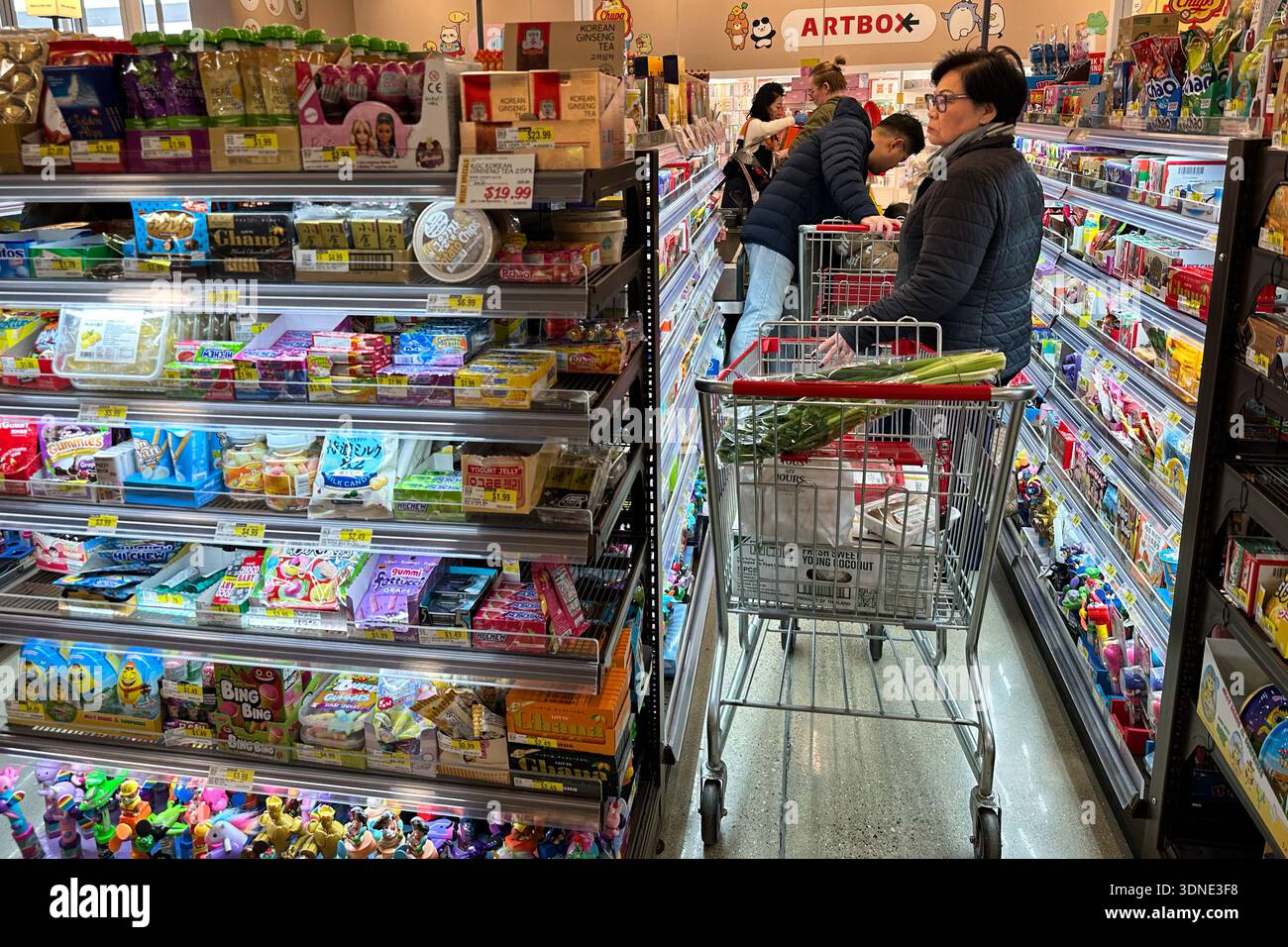 A shopper waits to check out at a cash register in a grocery store in ...