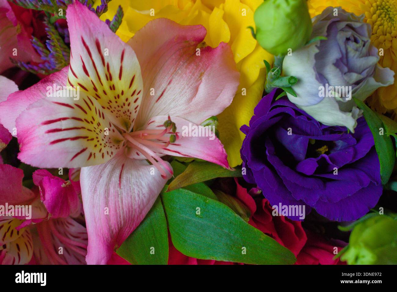 flowers, bunch, Bouguet of flowers, bouquet, general view, flora Stock ...