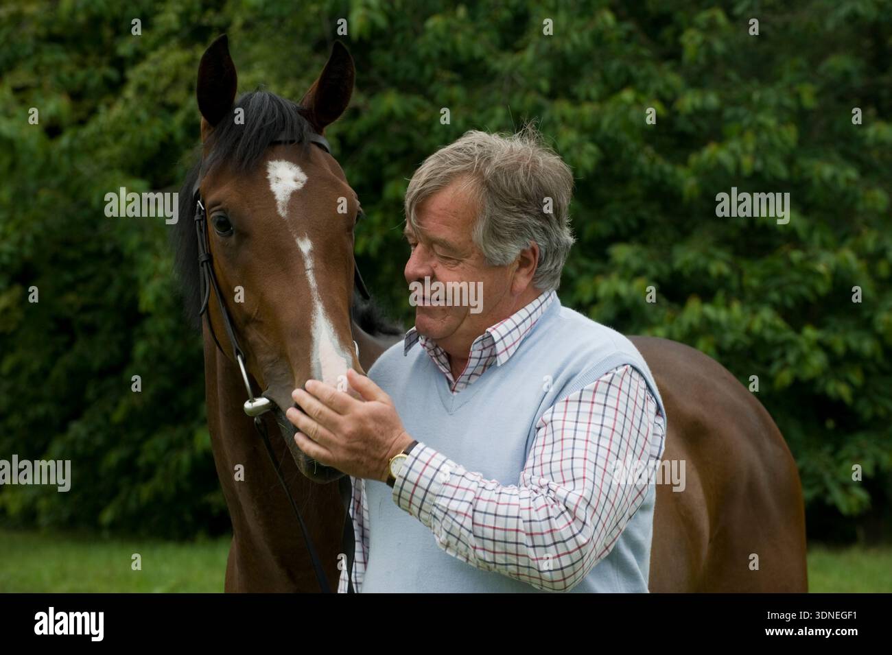Queen royal ascot estimate hi-res stock photography and images - Alamy