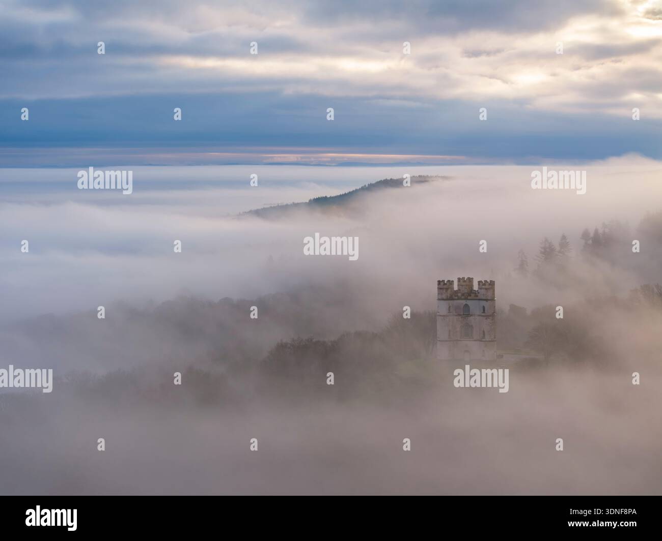 Haldon Belvedere (Lawrence Castle) folly emerging from a blank of mist ...