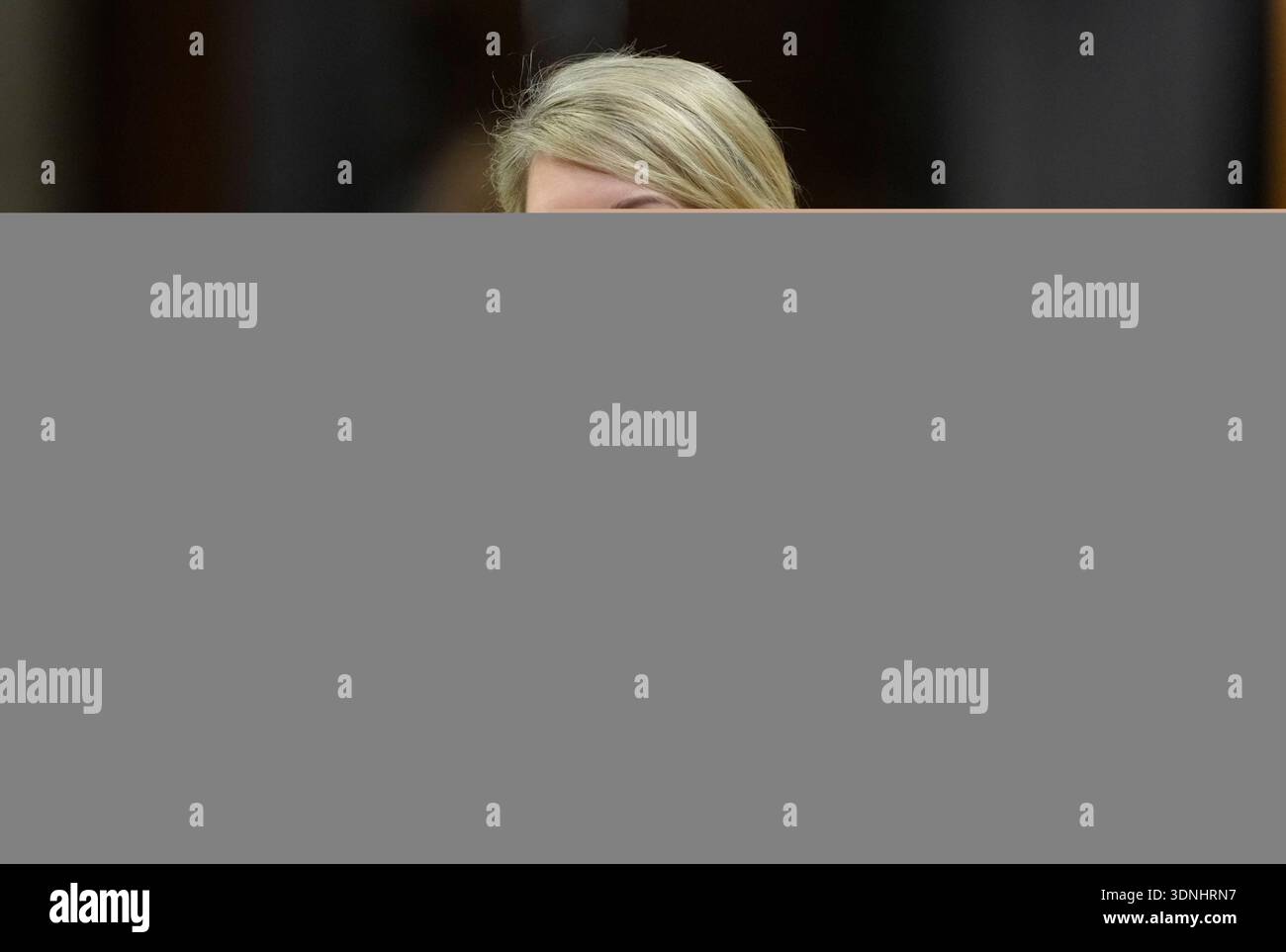 Industry Minister Melanie Joly rises during Question Period on ...