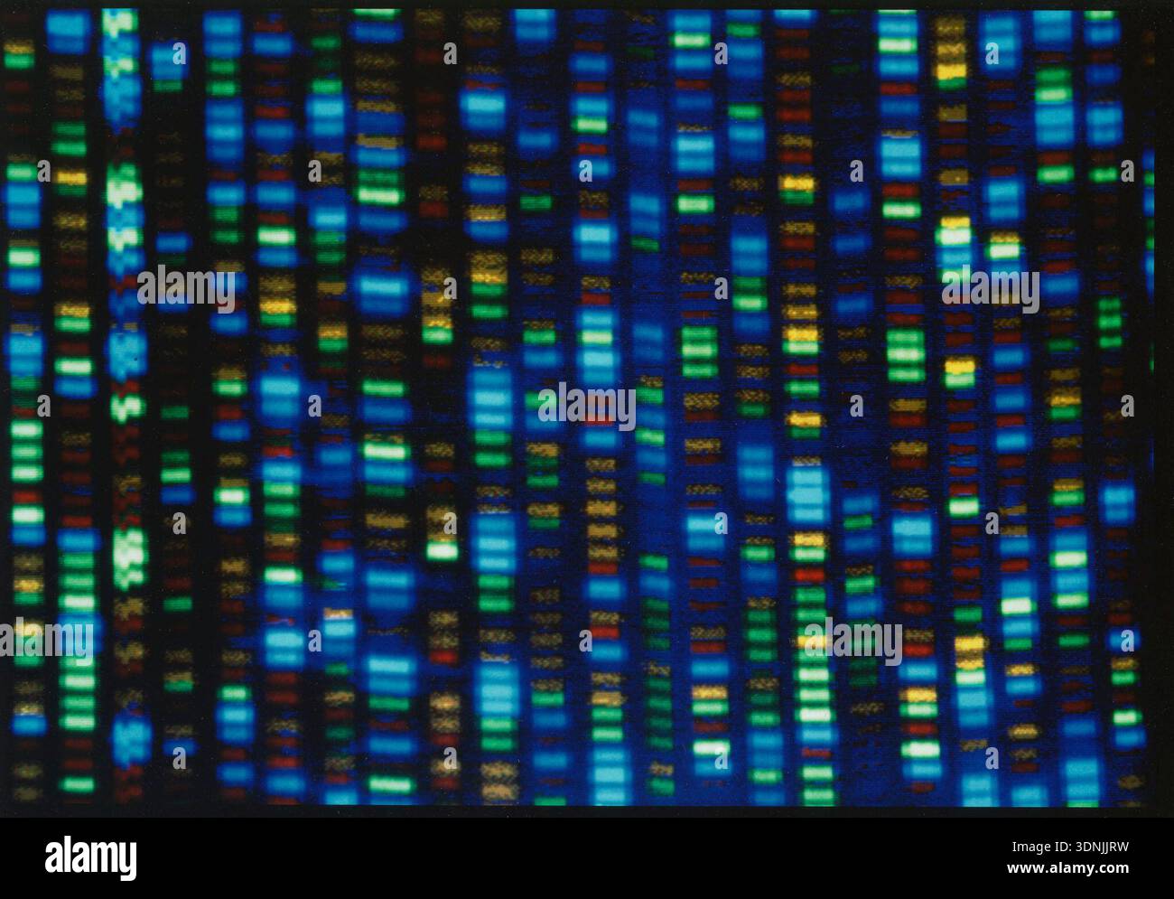 FILE - This undated image made available by the National Human Genome ...