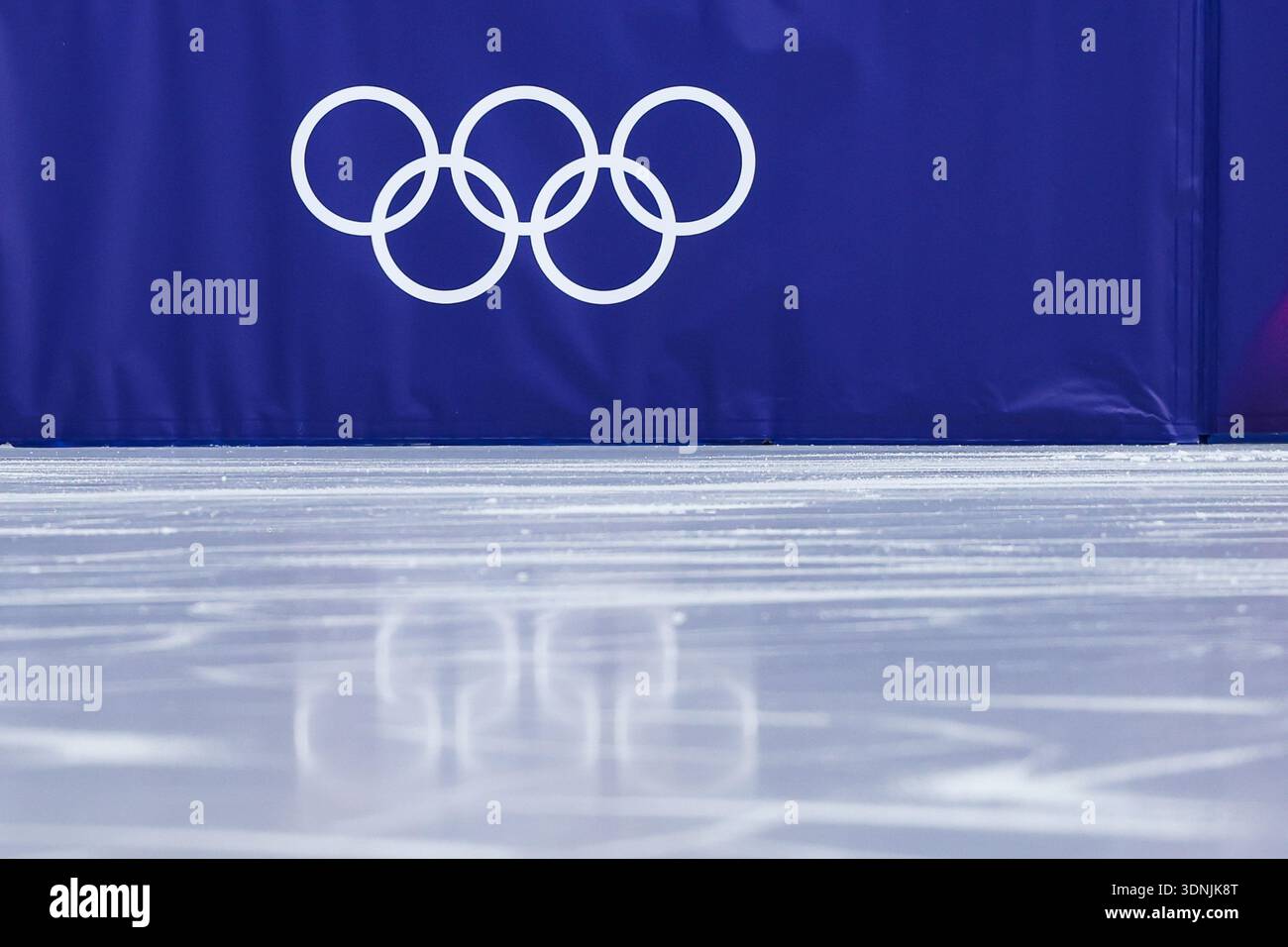 A view inside the Arena with olimpic rings during the Figure Skating ...