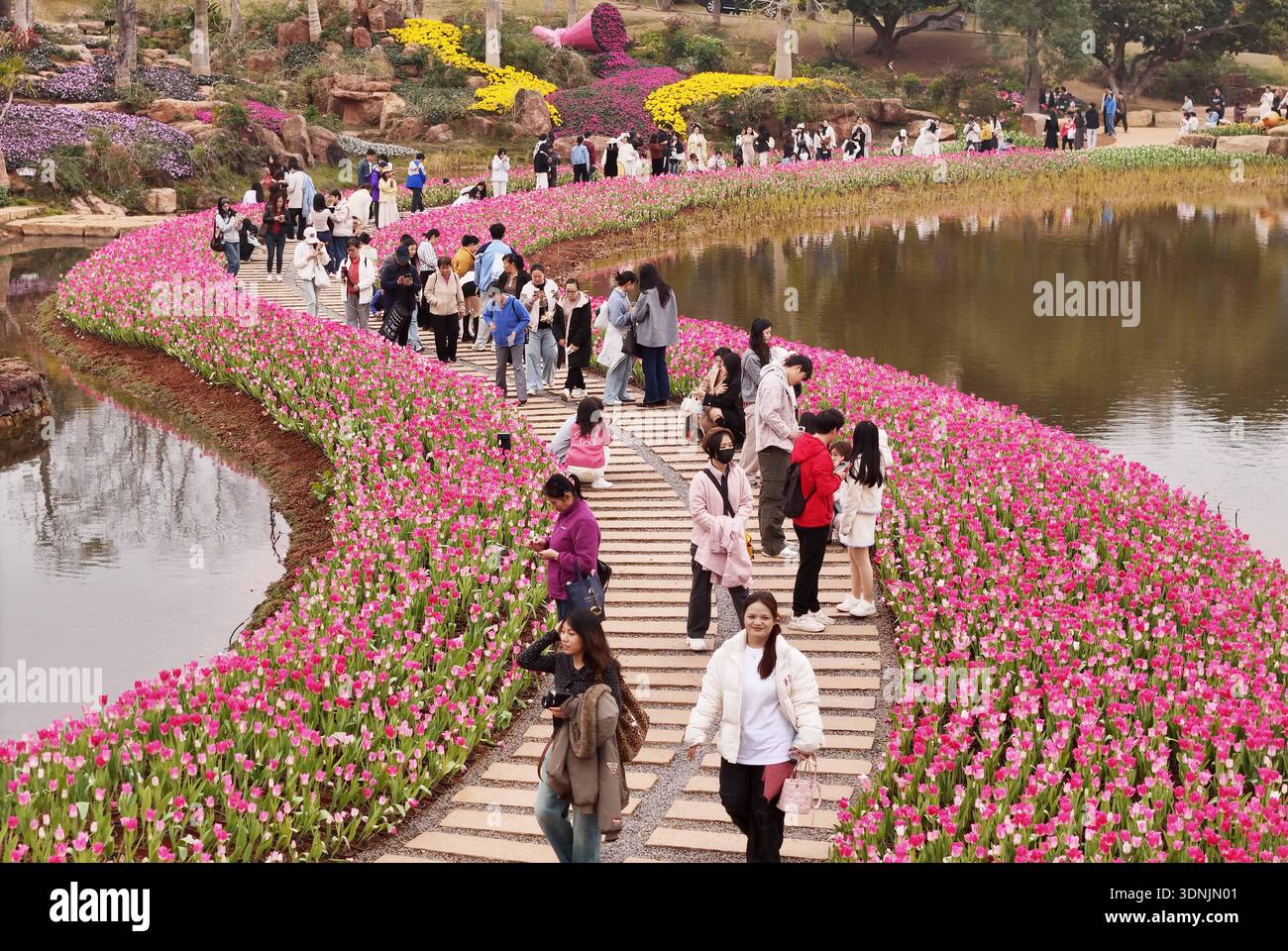 Visitors enjoy blooming tulip fields at Qingxiu Mountain in Nanning ...