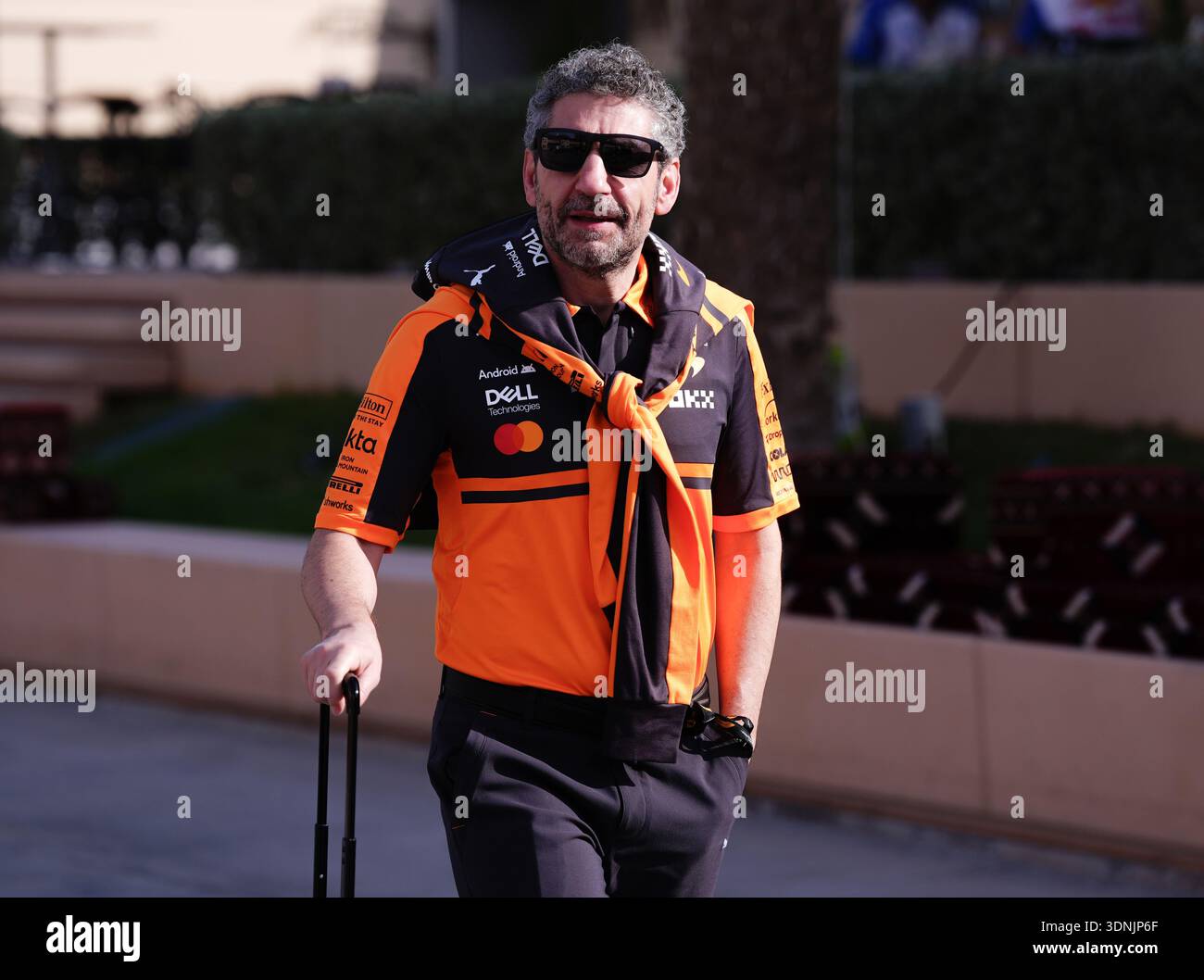 McLaren team principal Andrea Stella on day one of Formula One Aramco ...