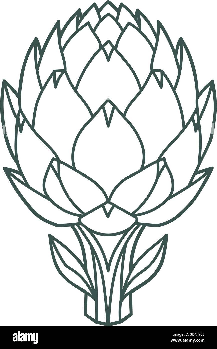 Artichoke icon vegetable illustration for healthy food and ...