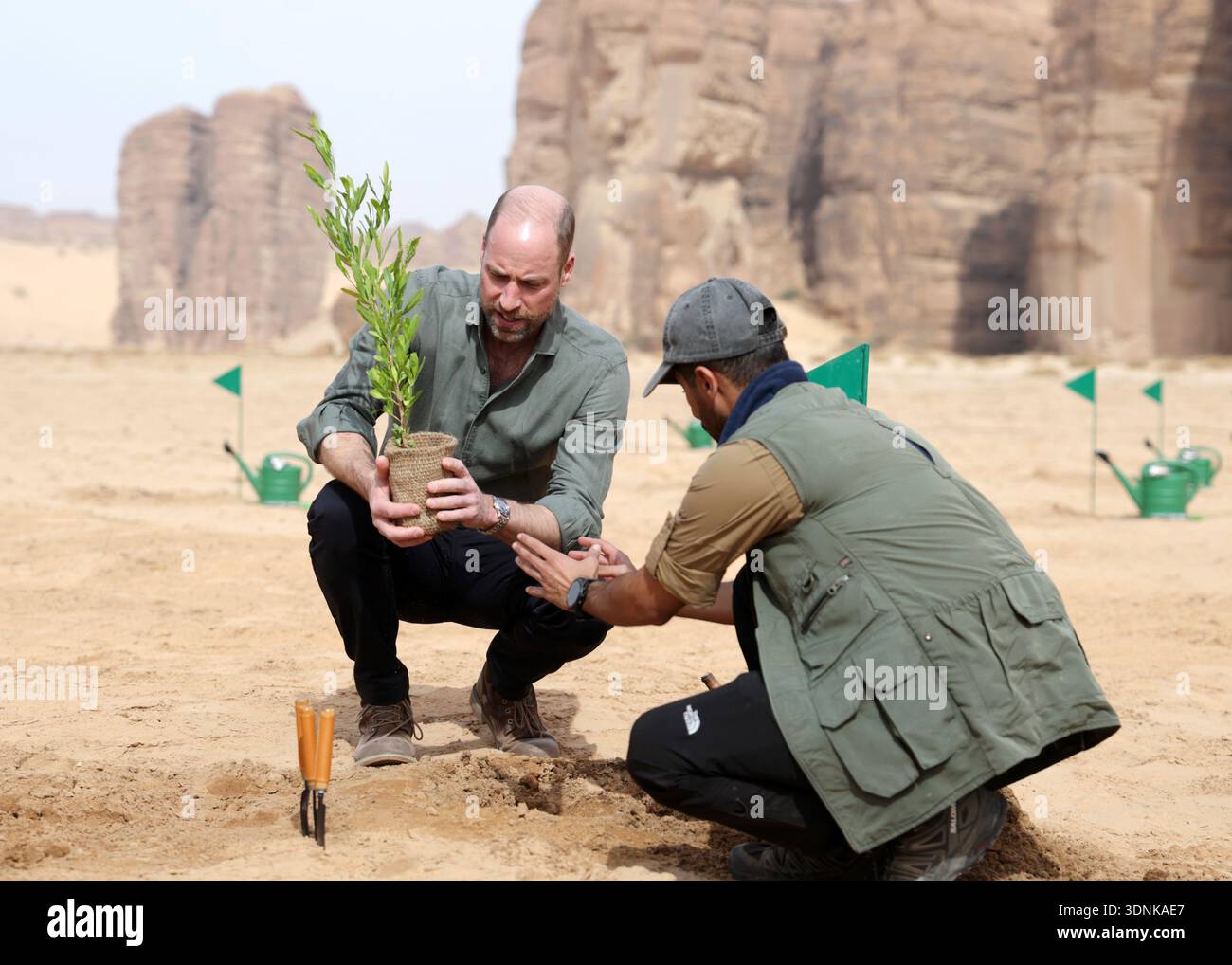 The Prince of Wales plants an acacia tree during his visit to the ...