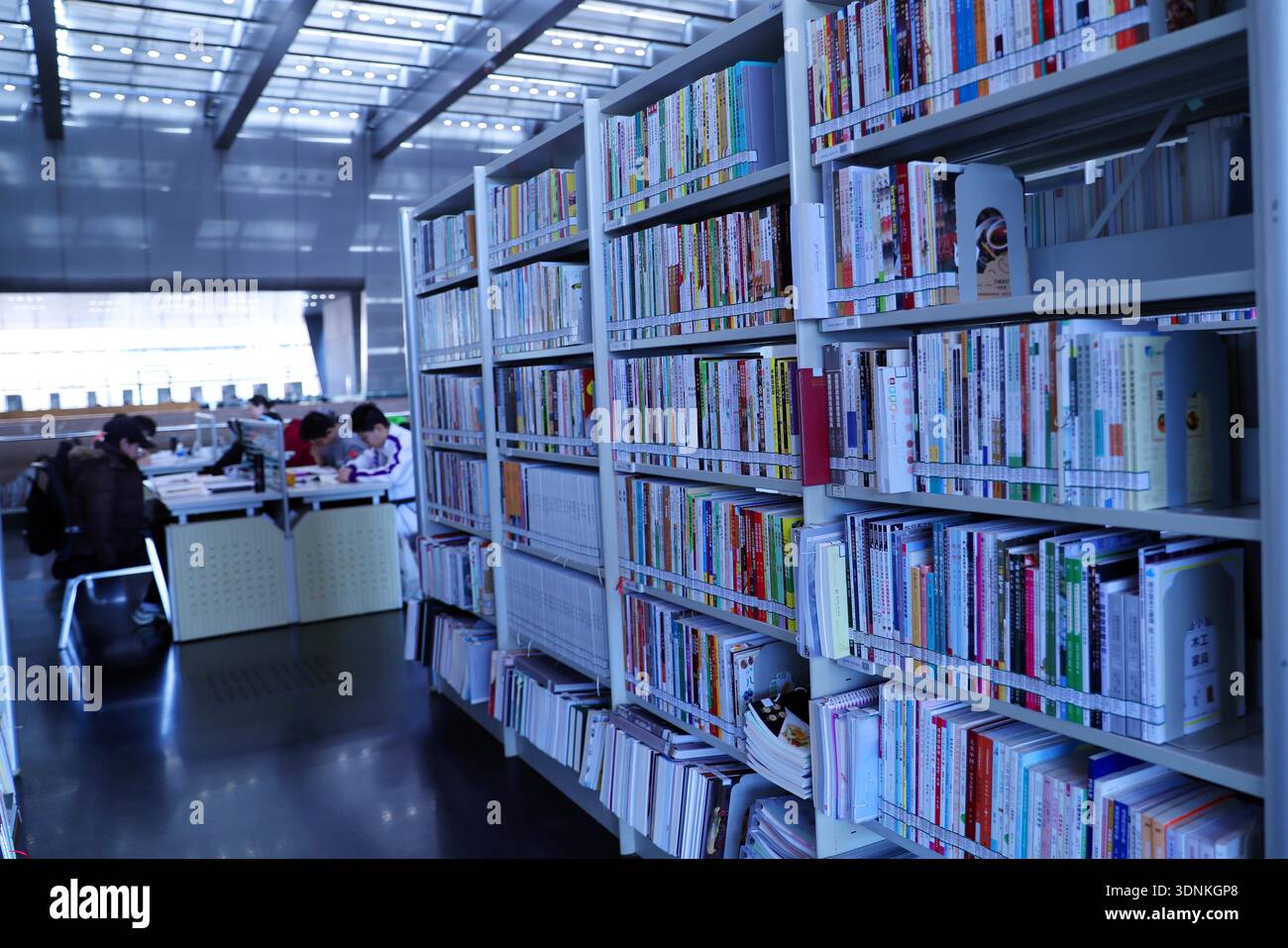 Readers study at the National Library of China in Beijing, China, 8 ...