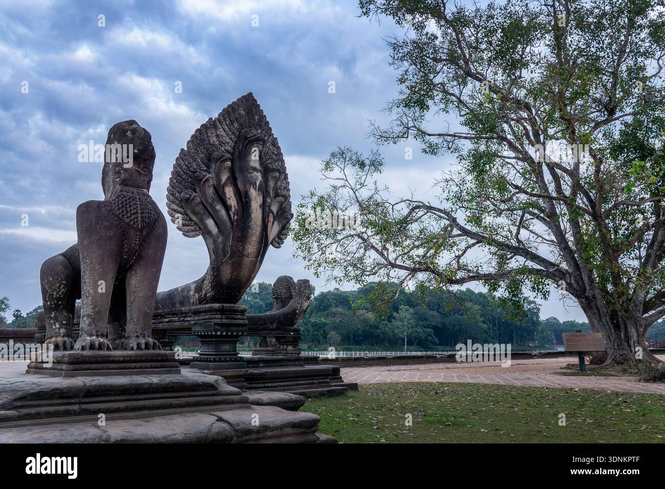 Seven naga snake heads hi-res stock photography and images - Alamy