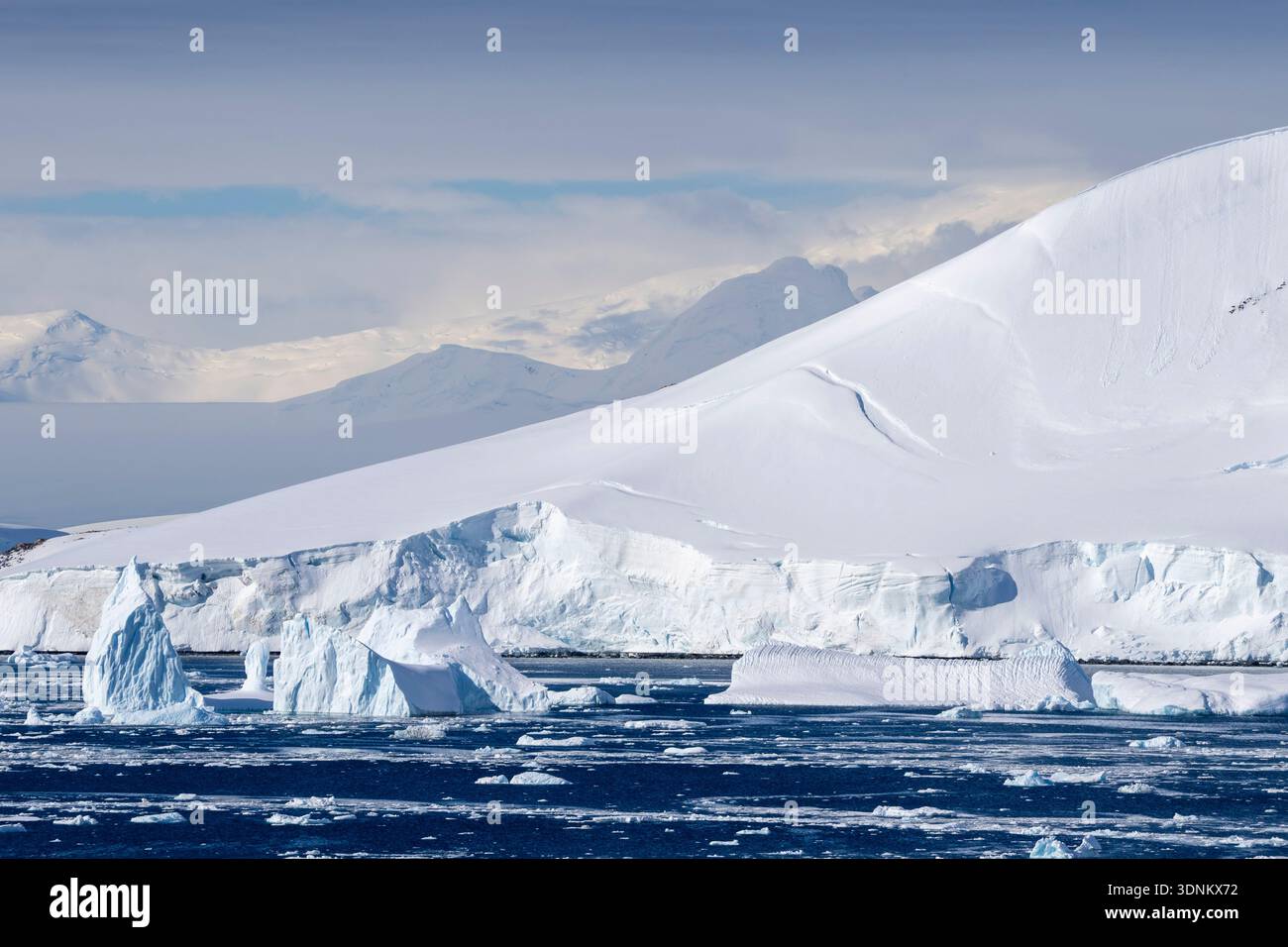 Antarctica pleneau island travel hi-res stock photography and images ...