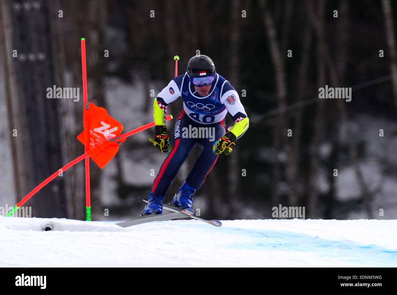 Monaco's Arnaud Alessandria during the Men's Alpine Skiing Super-G at ...