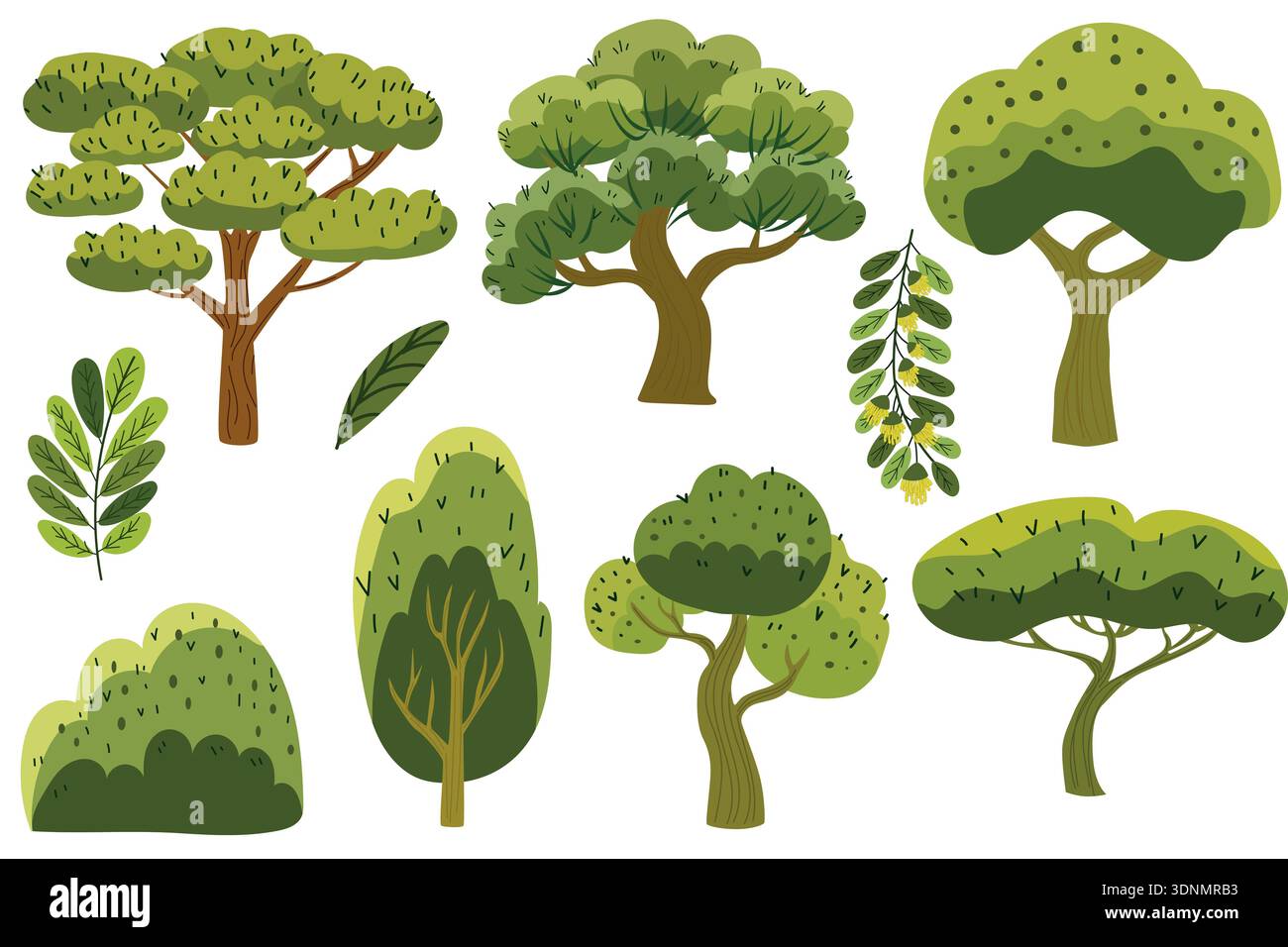 Acacia tree branches Stock Vector Images - Alamy