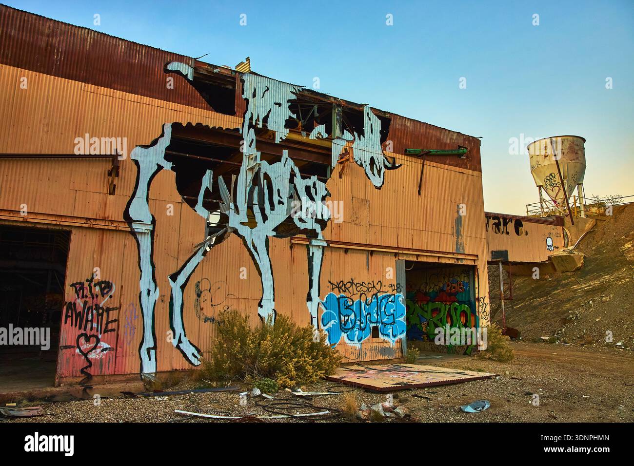 Graffiti art and a skeletal animal mural dominate the abandoned Goldome ...