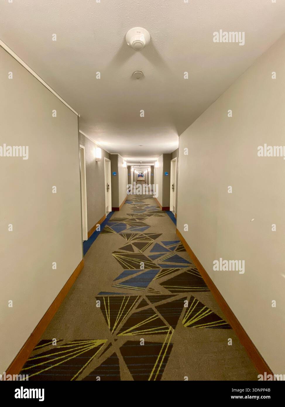 Vanishing point corridor with funky carpet inside a motel at Hermosa ...