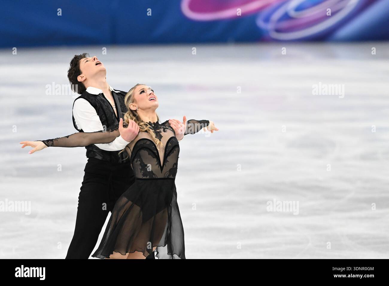 Emilea zingas hi-res stock photography and images - Alamy