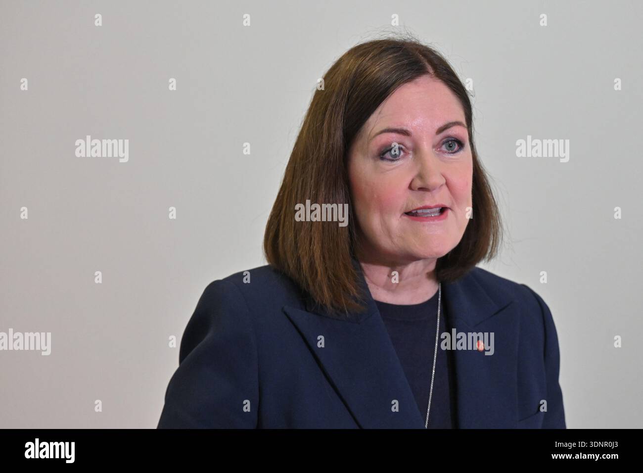 Liberal senator Sarah Henderson speaks to journalists in the Press ...