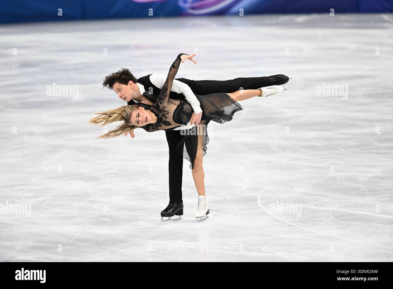 Emilea zingas hi-res stock photography and images - Alamy