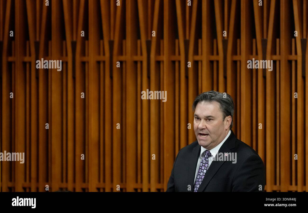 NDP interim leader Don Davies rises in the House of Commons Wednesday ...