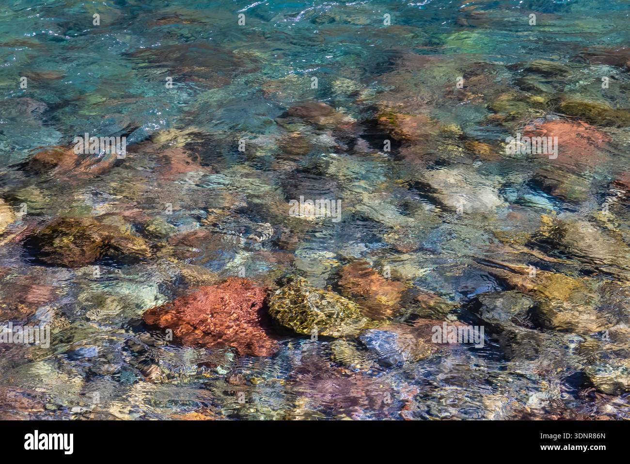 The glacial waters of the Dosewallips River, Olympic National Forest ...