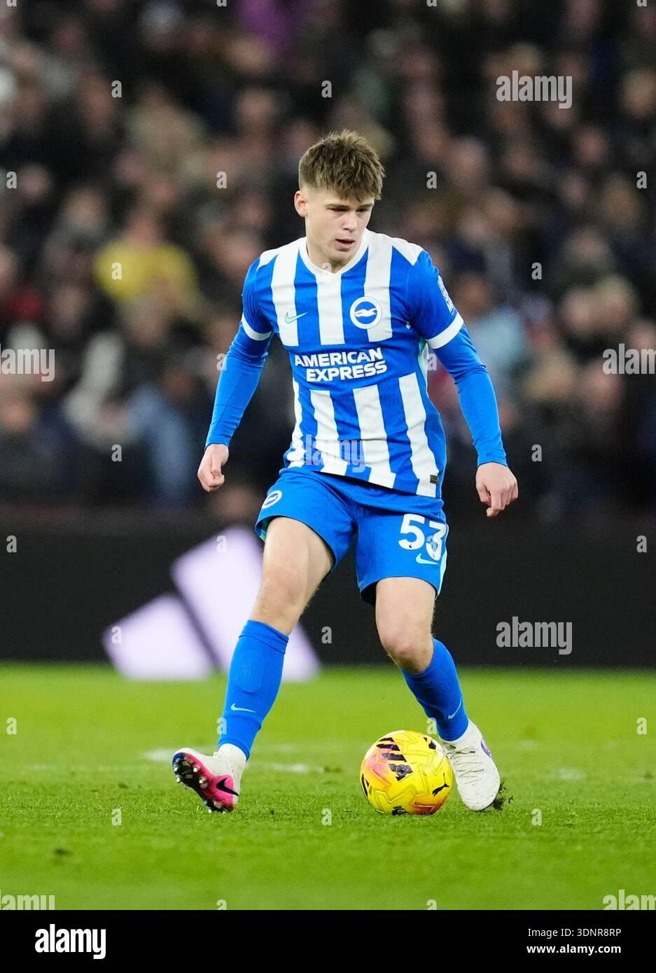 Brighton and Hove Albion's Harry Howell during the Premier League match ...