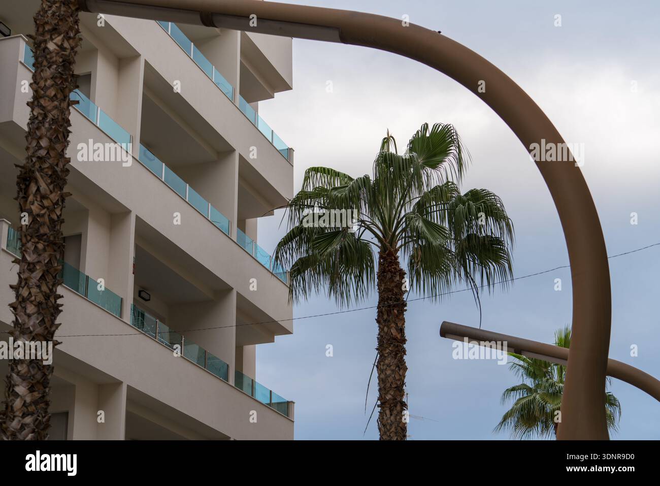 Residential building palm tree hi-res stock photography and images - Alamy