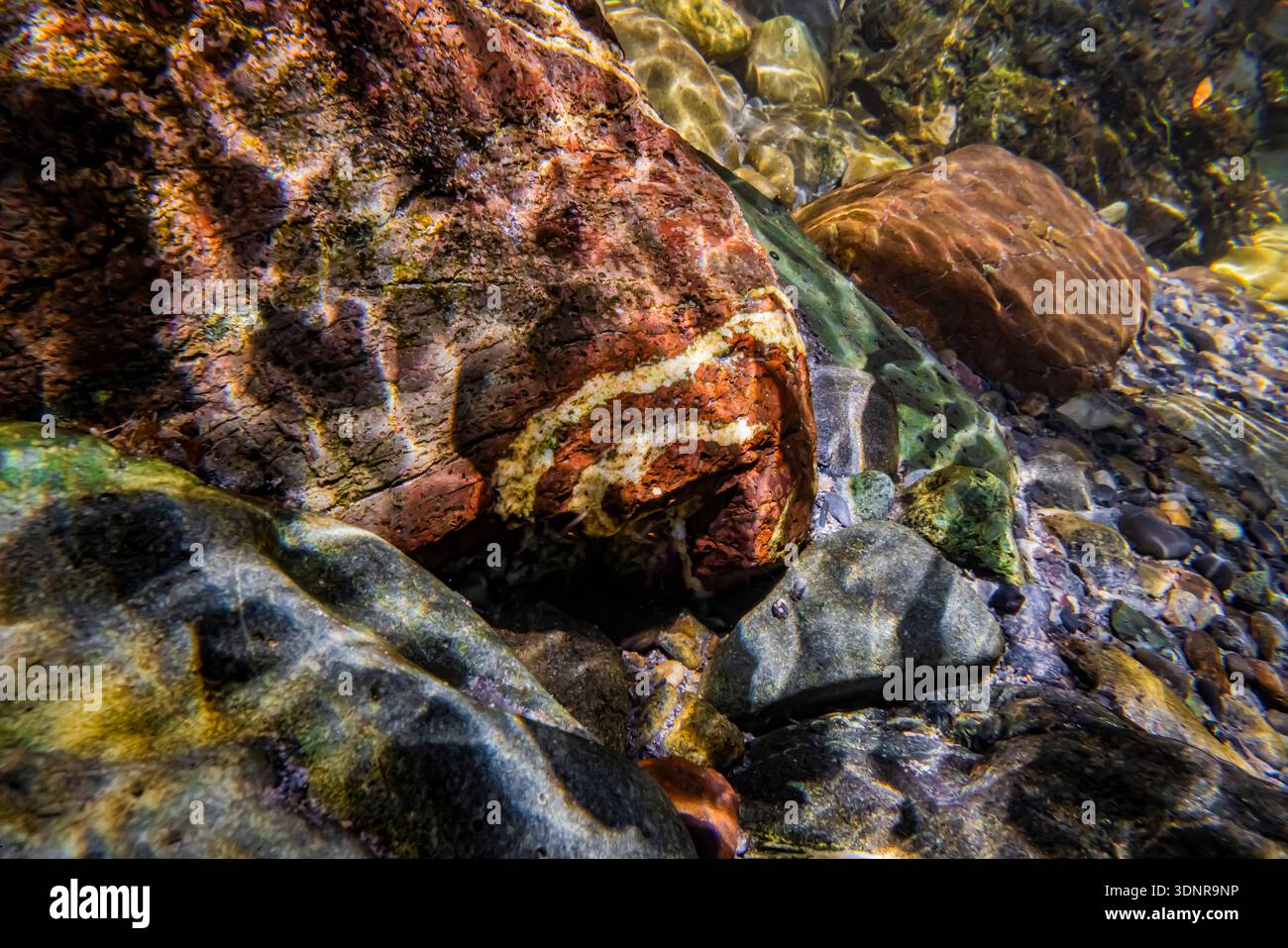 Riverbed of Dosewallips River, taken with camera in underwater housing ...