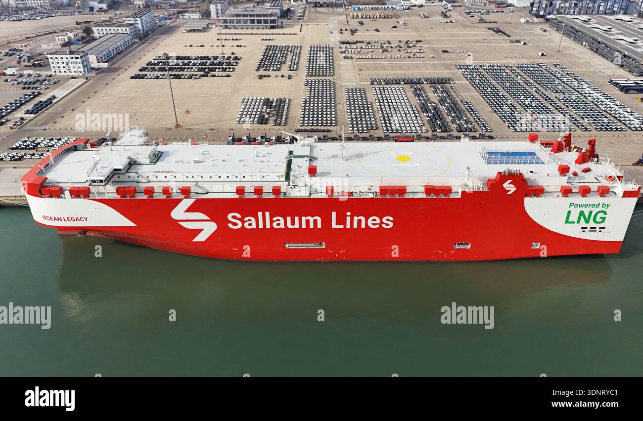 YANTAI, CHINA - FEBRUARY 10, 2026 - A dual fuel vehicle transport ship ...