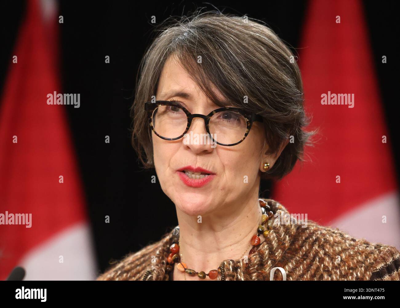 Gun control advocate and survivor of the1989 École Polytechnique ...