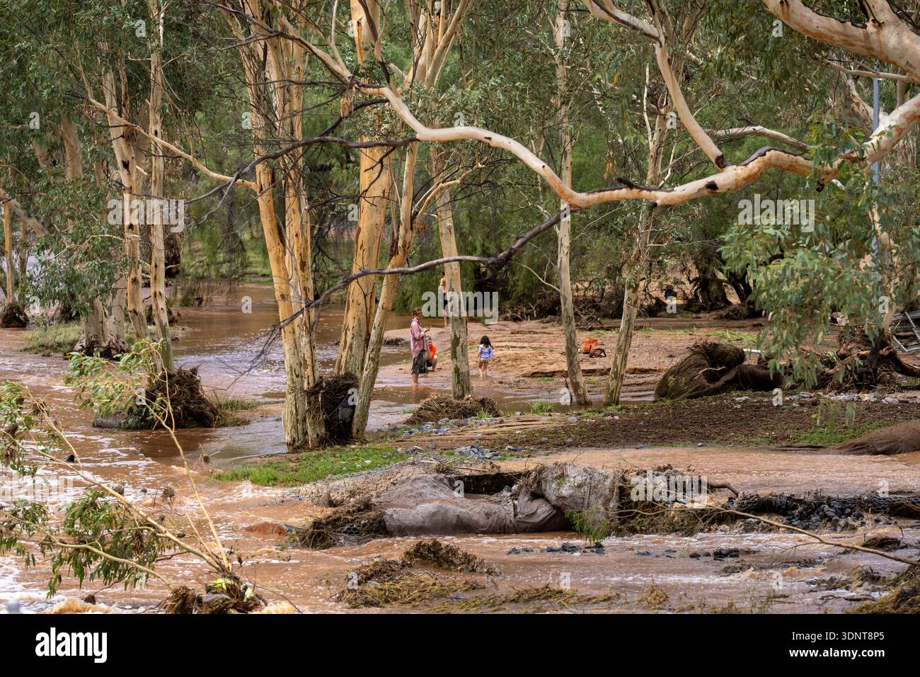 Floodwaters surge at Undoolya Road Bridge in Alice Springs, Thursday ...