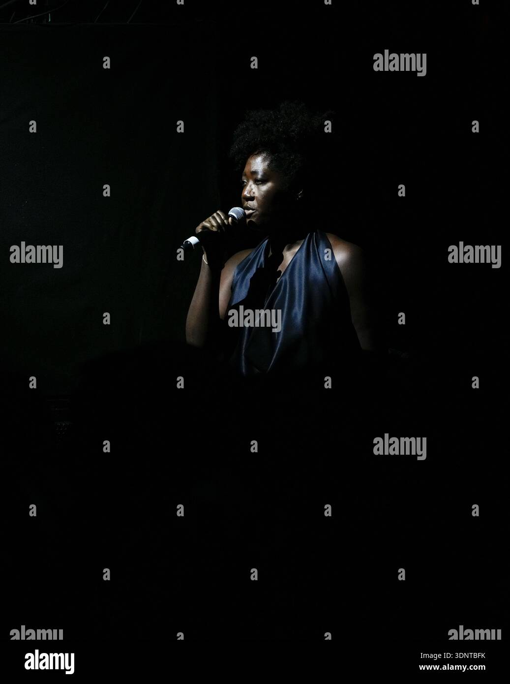 Singer Amber Iman performs onstage during the Frederick Anderson Fall ...