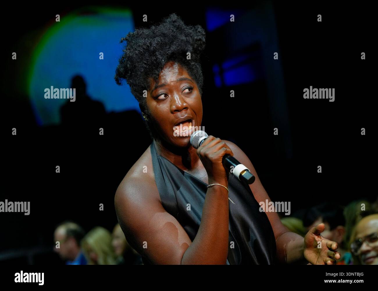 Singer Amber Iman performs onstage during the Frederick Anderson Fall ...