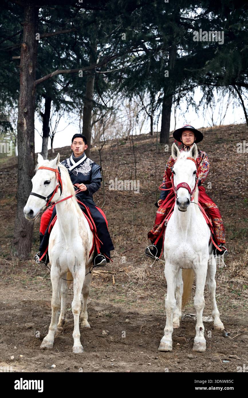 Nantong Forest Safari Park rehearses horse-themed activities for the ...
