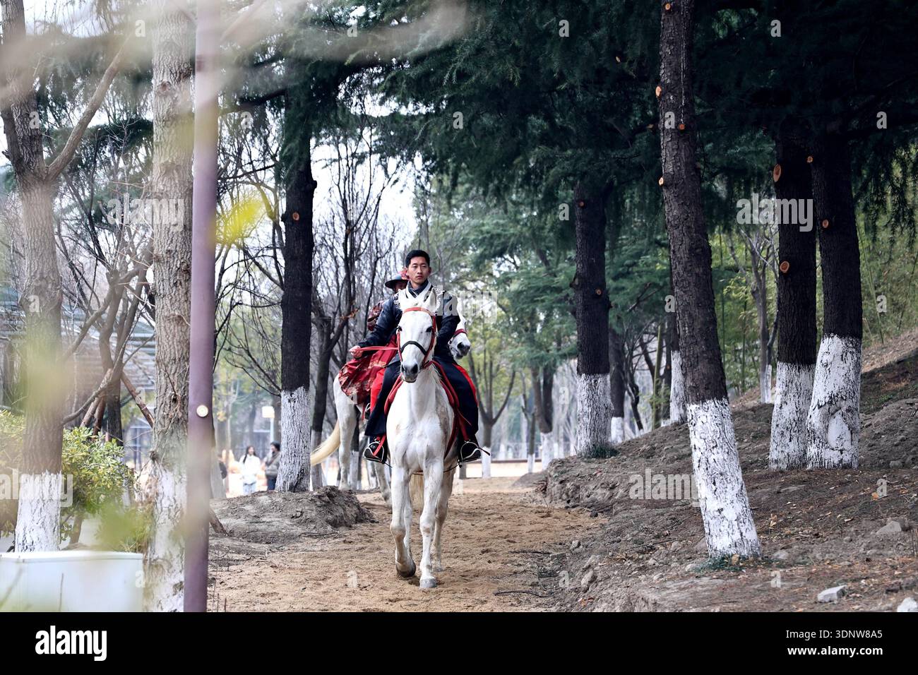Nantong Forest Safari Park rehearses horse-themed activities for the ...