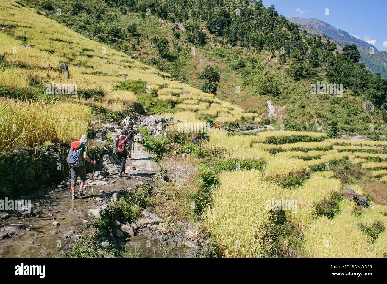 The Larkya La Pass area in the Himalayas known for diverse landscapes ...