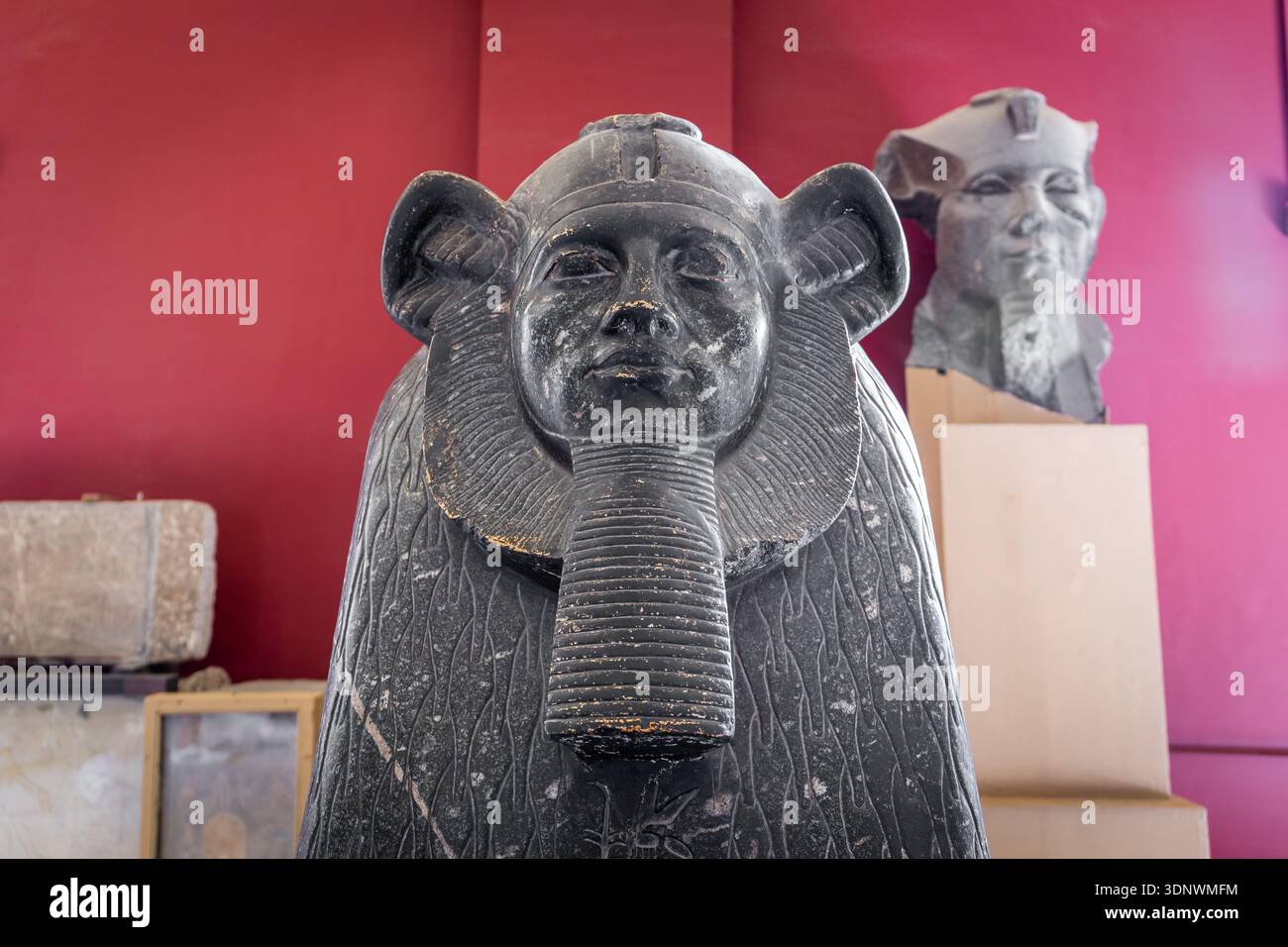 Cairo, Egypt, 24.07.21. Sphinx of Amenemhat III from Tanis ancient ...