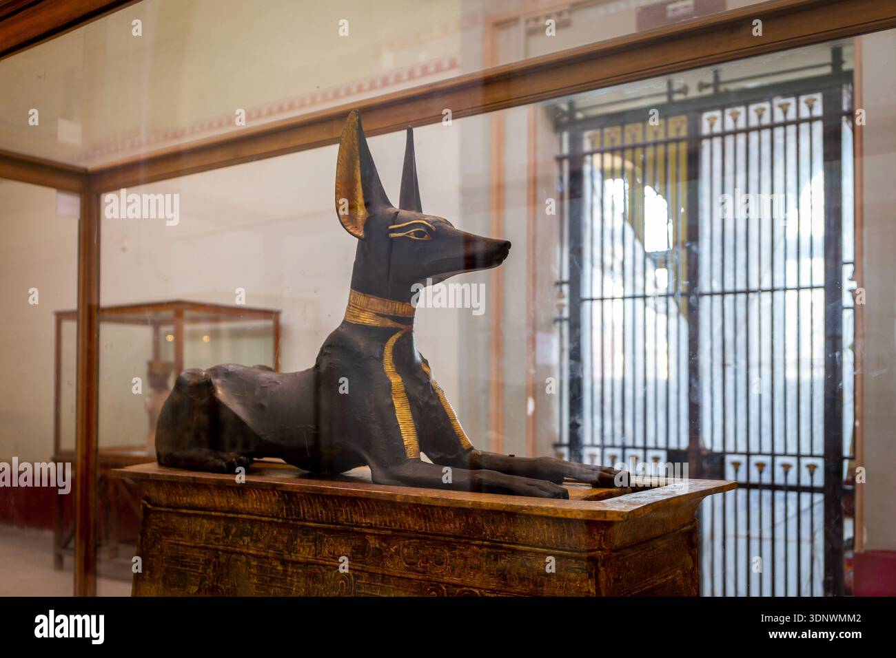 Anubis tutankhamun hi-res stock photography and images - Alamy