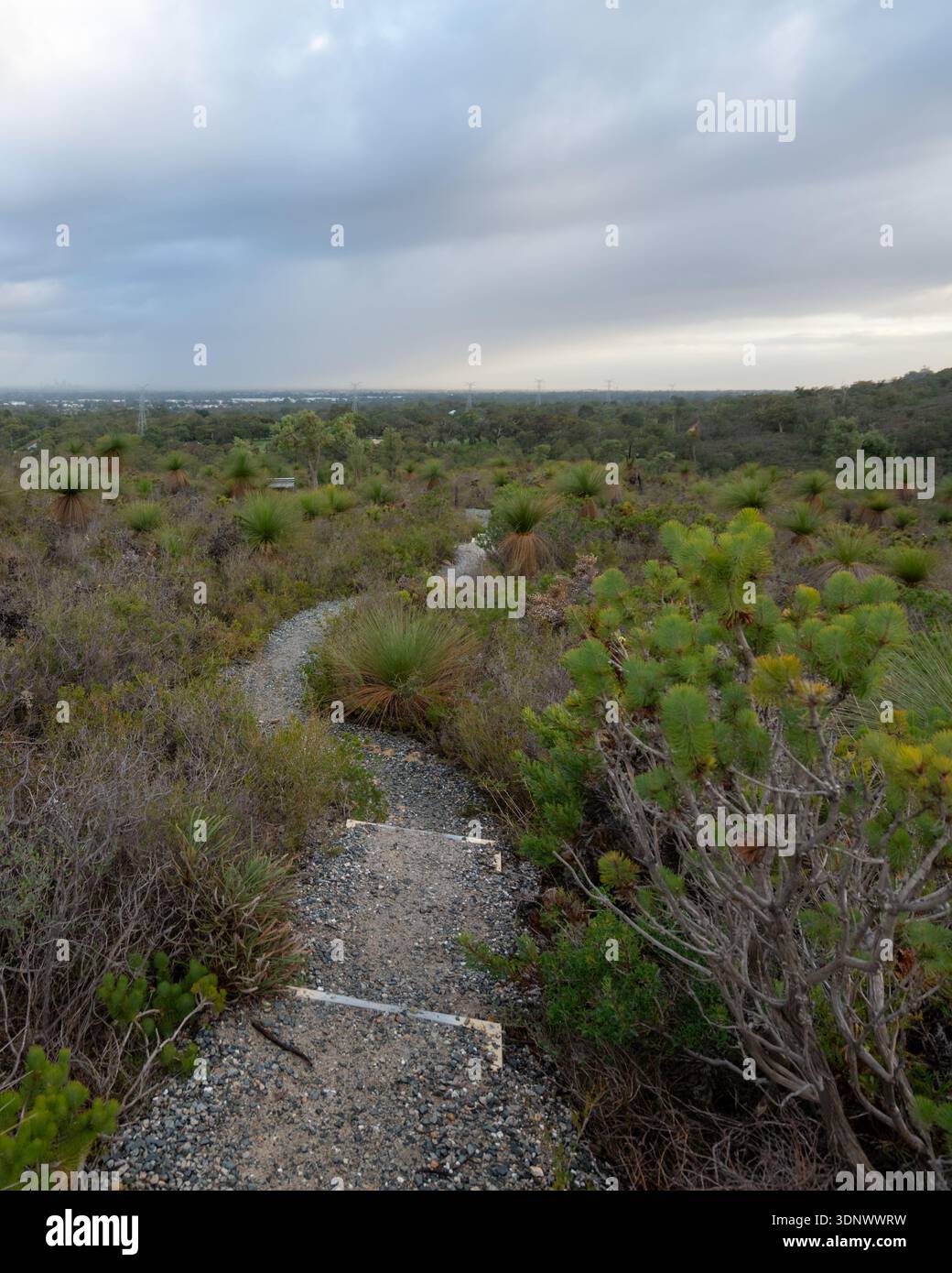 A narrow sandy path curves through dense shrubland under a cloudy ...