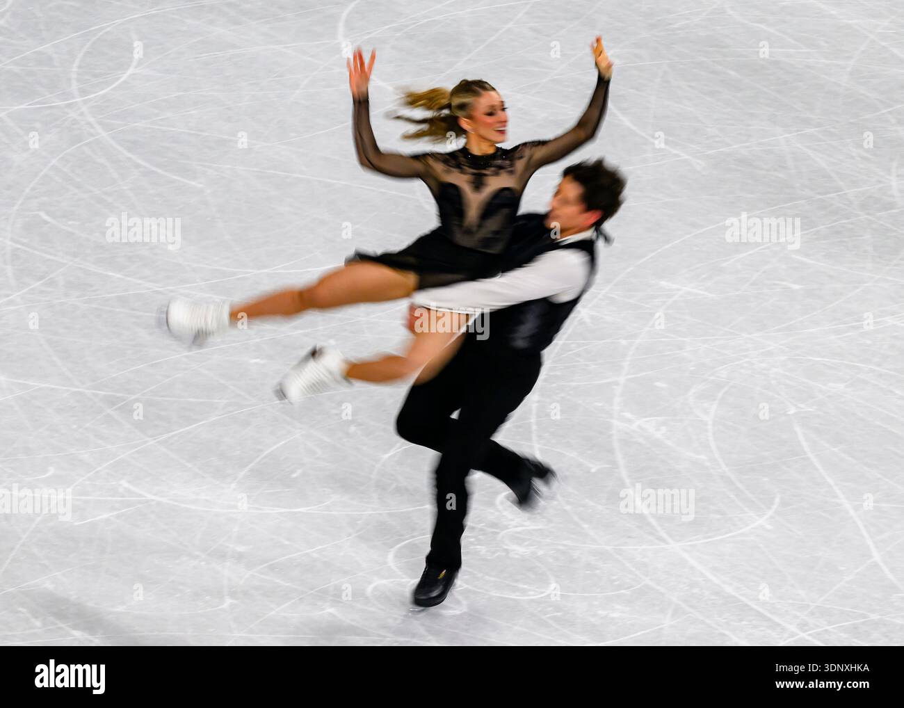 Emilea zingas hi-res stock photography and images - Alamy